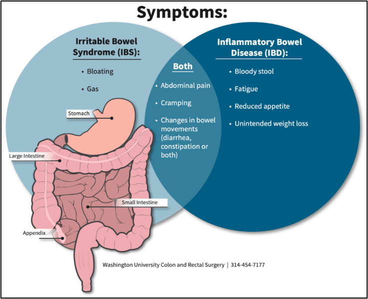 Understanding Ibd Or Crohns Disease Patientsengage